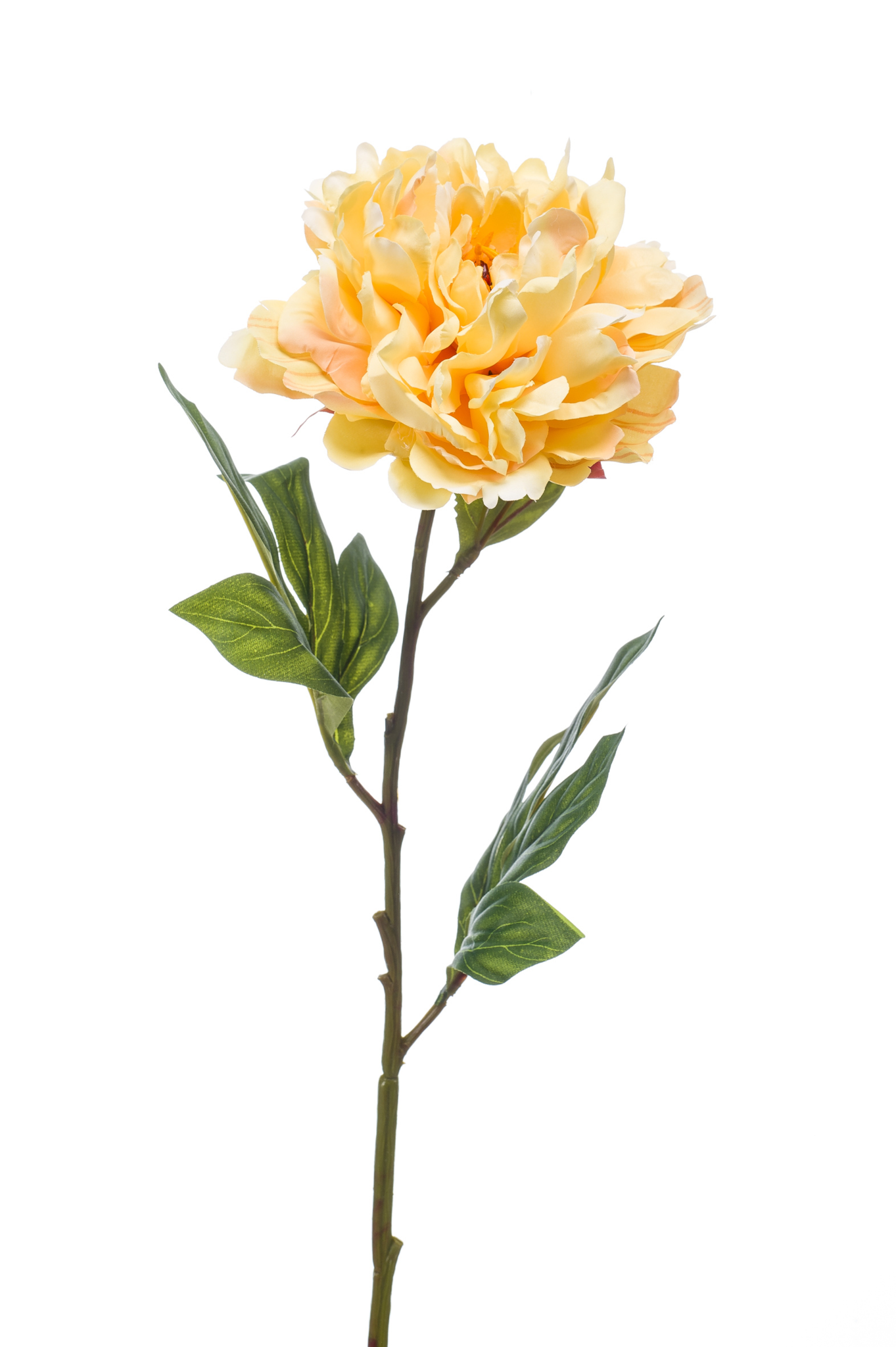 Zijden bloem "Peony Chelsea Spray yellow" | Droogbloemetjes.nl ...