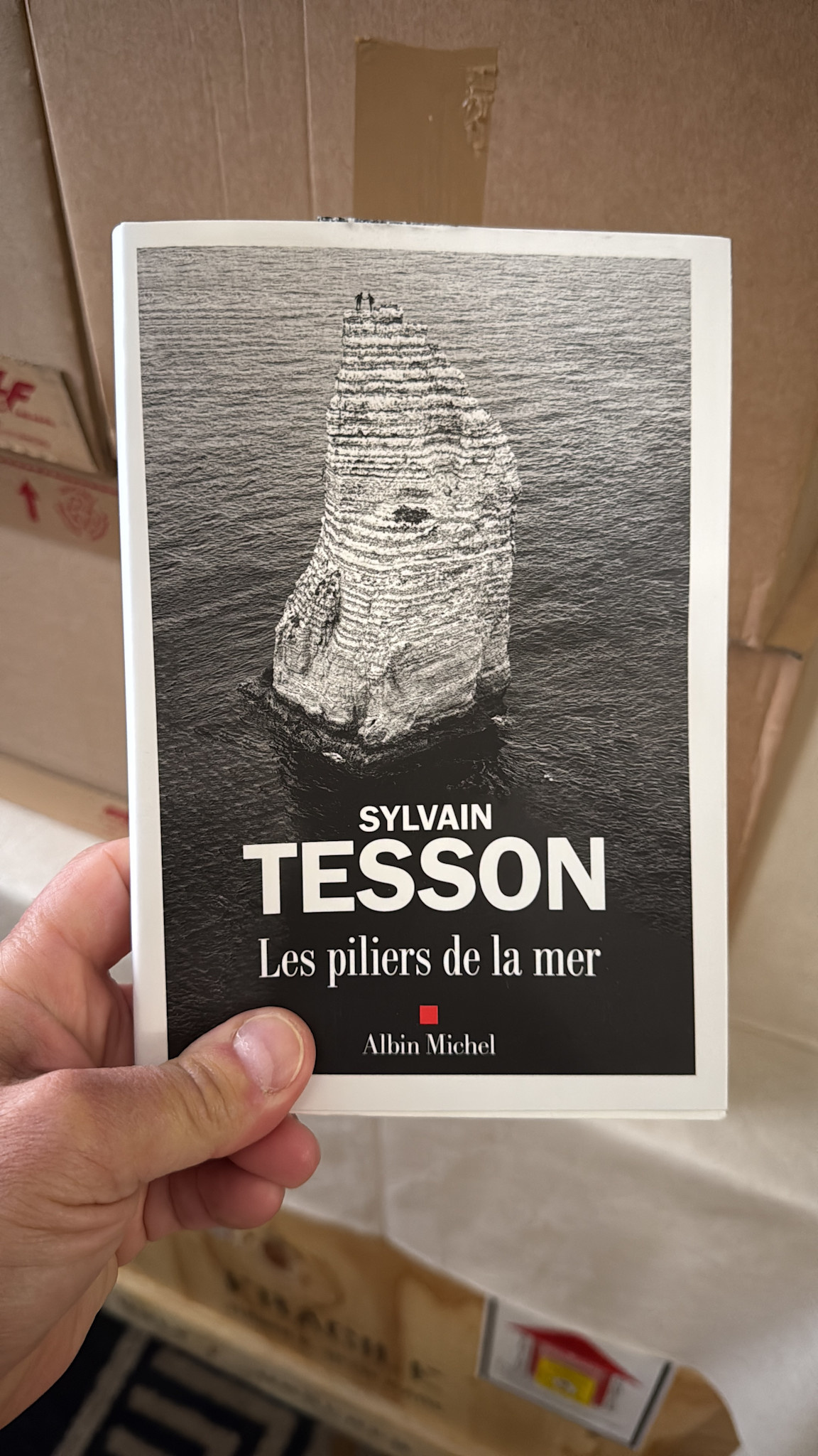 LES PILIERS DE LA MER - ALBIN MICHEL - SYLVAIN TESSON - RHEIN 1905 GENEVA