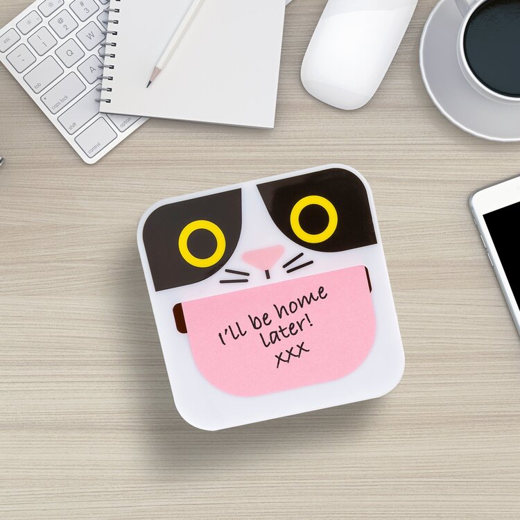 Crazy Cat Sticky Note Dispenser - Kat & Bakkie