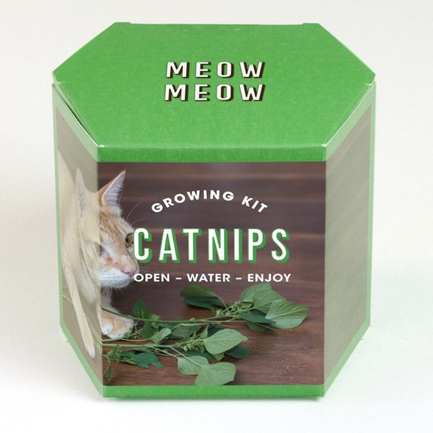 Catnips Growing Kit - Kat & Bakkie