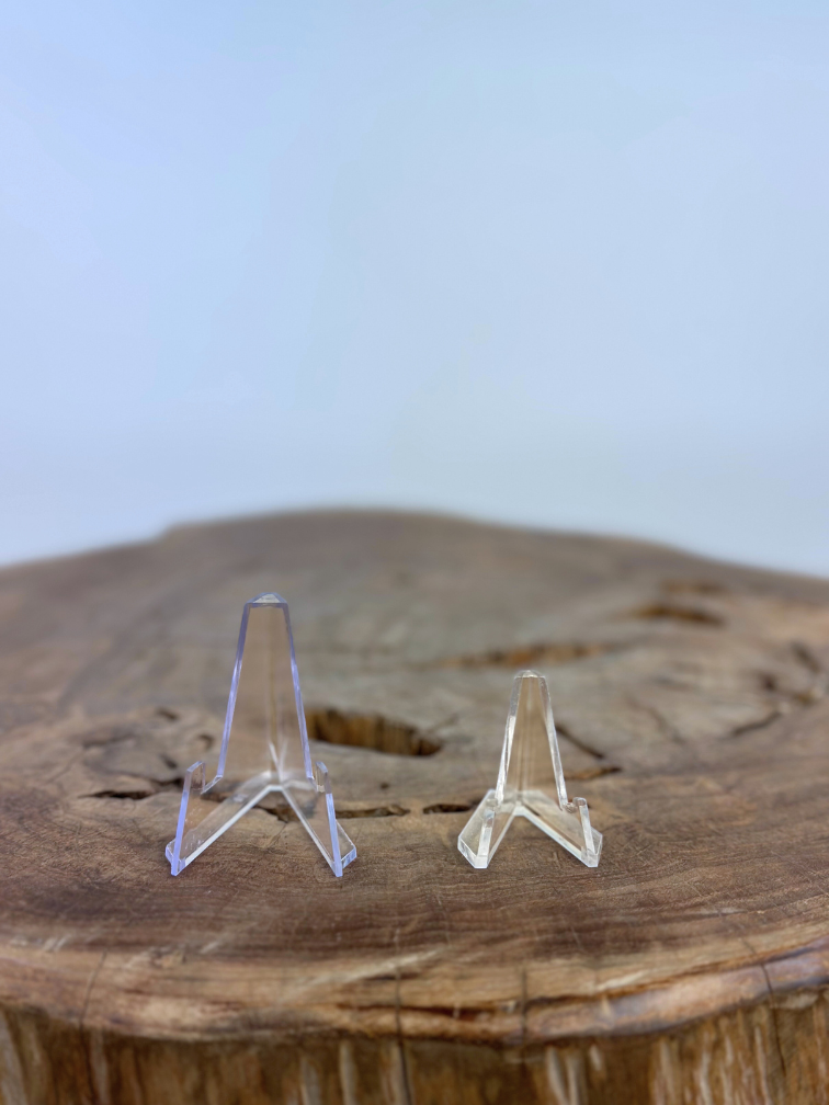 Large plastic display for Megalodon teeth | Megalodontand.nl ...