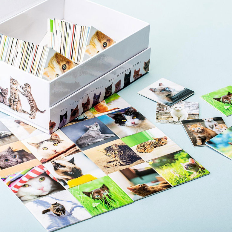 Remember Cats - Memory - Galerie Chat Noir