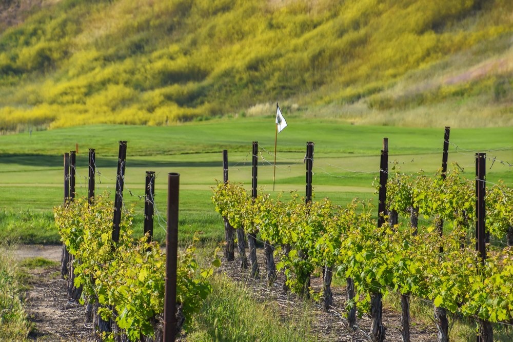 Wente Riva Ranch Pinot Noir Californië | rode wijn | Faberwineworld ...