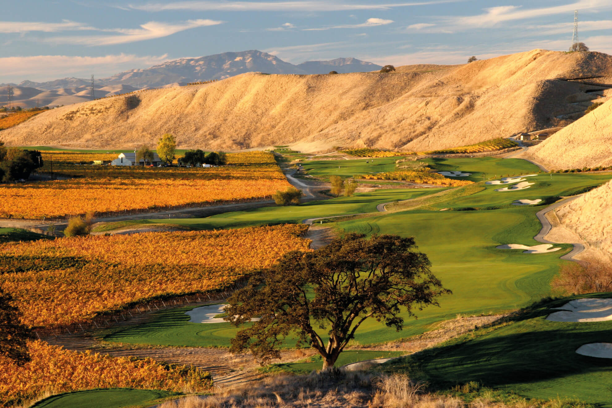 Wente Riva Nth Degree Chardonnay | witte wijn | Faberwineworld.nl ...