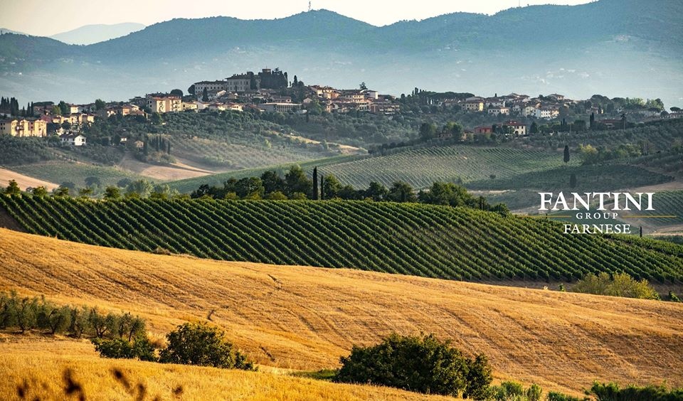 Zolla Primitivo di Manduria Riserva | rode wijn | Faberwineworld.nl ...