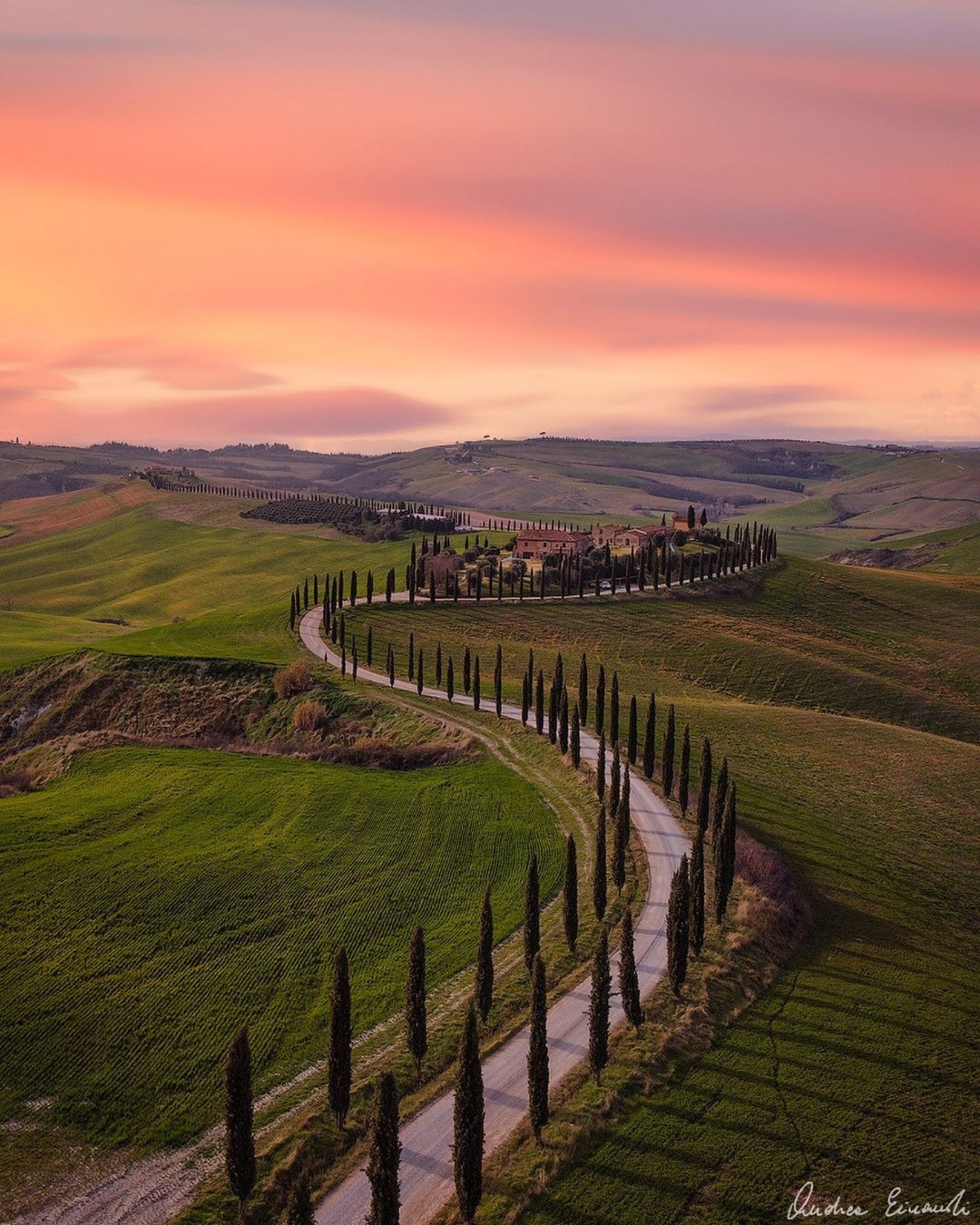 Pipoli Rosato Aglianico Basilicata IGT | rose wijn | Faberwineworld ...