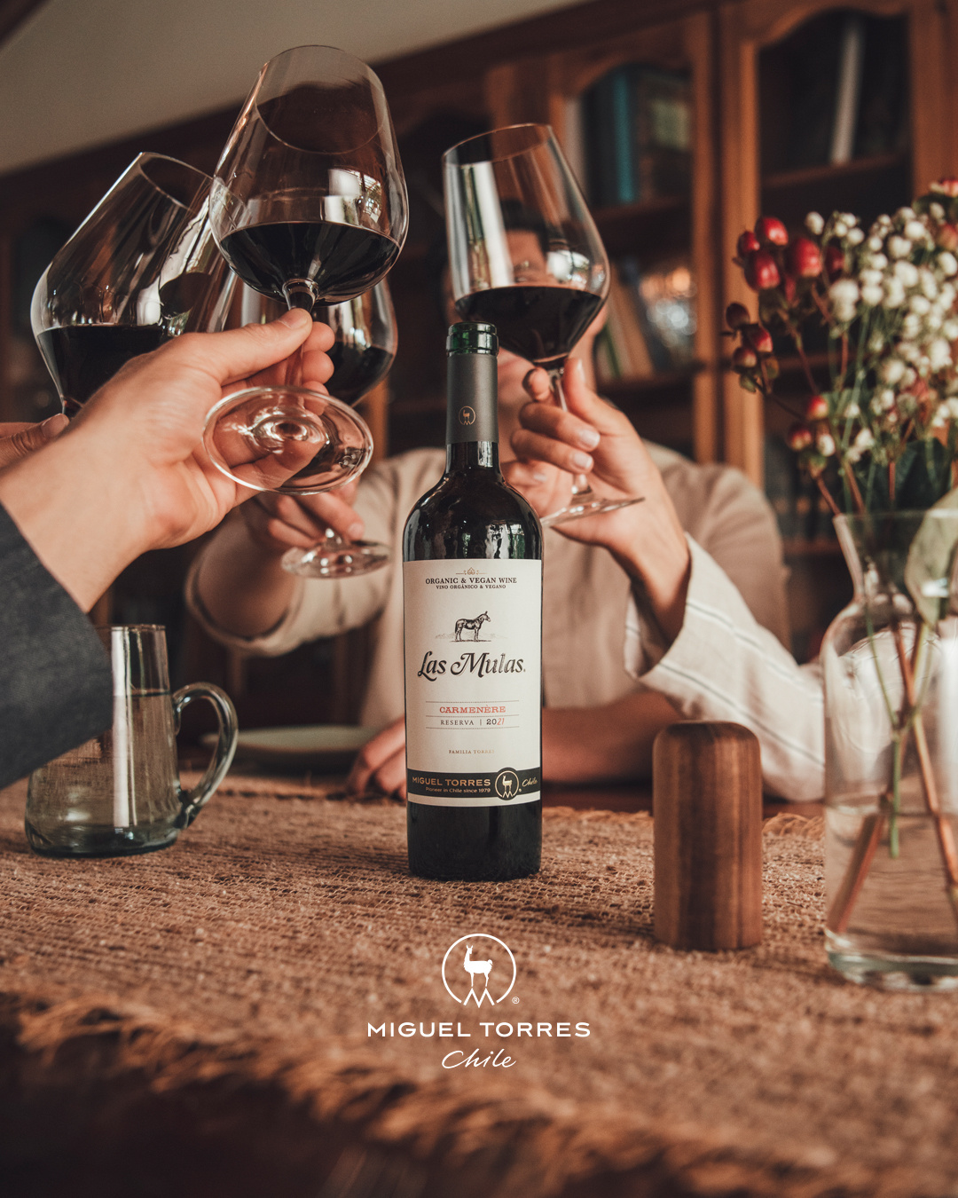 Las Mulas Torres Reserva Cabernet Sauvignon (bio) | Faberwineworld.nl - Faberwineworld