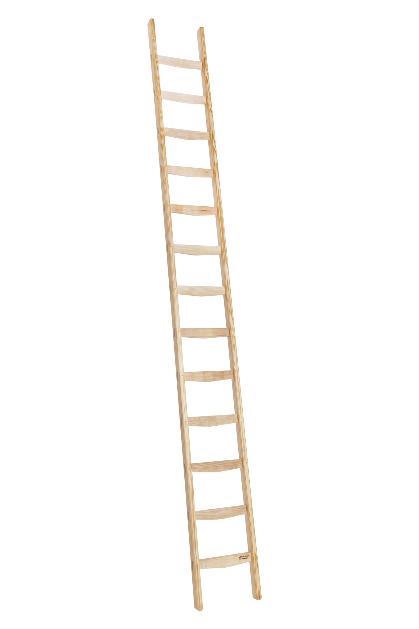 Ladder 5 meter (19 sporten) - vaneldikladders.nl