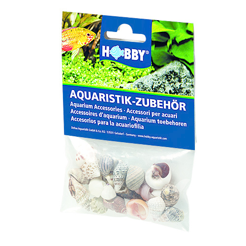 Hobby Sea Shells Set S - kaufen im Aqua Planet Online Shop