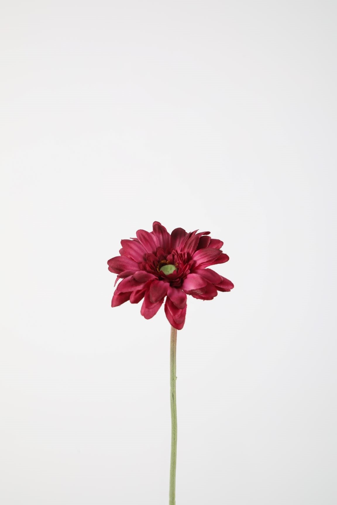 Single Mini Gerbera 47cm fuchsia - Woon!