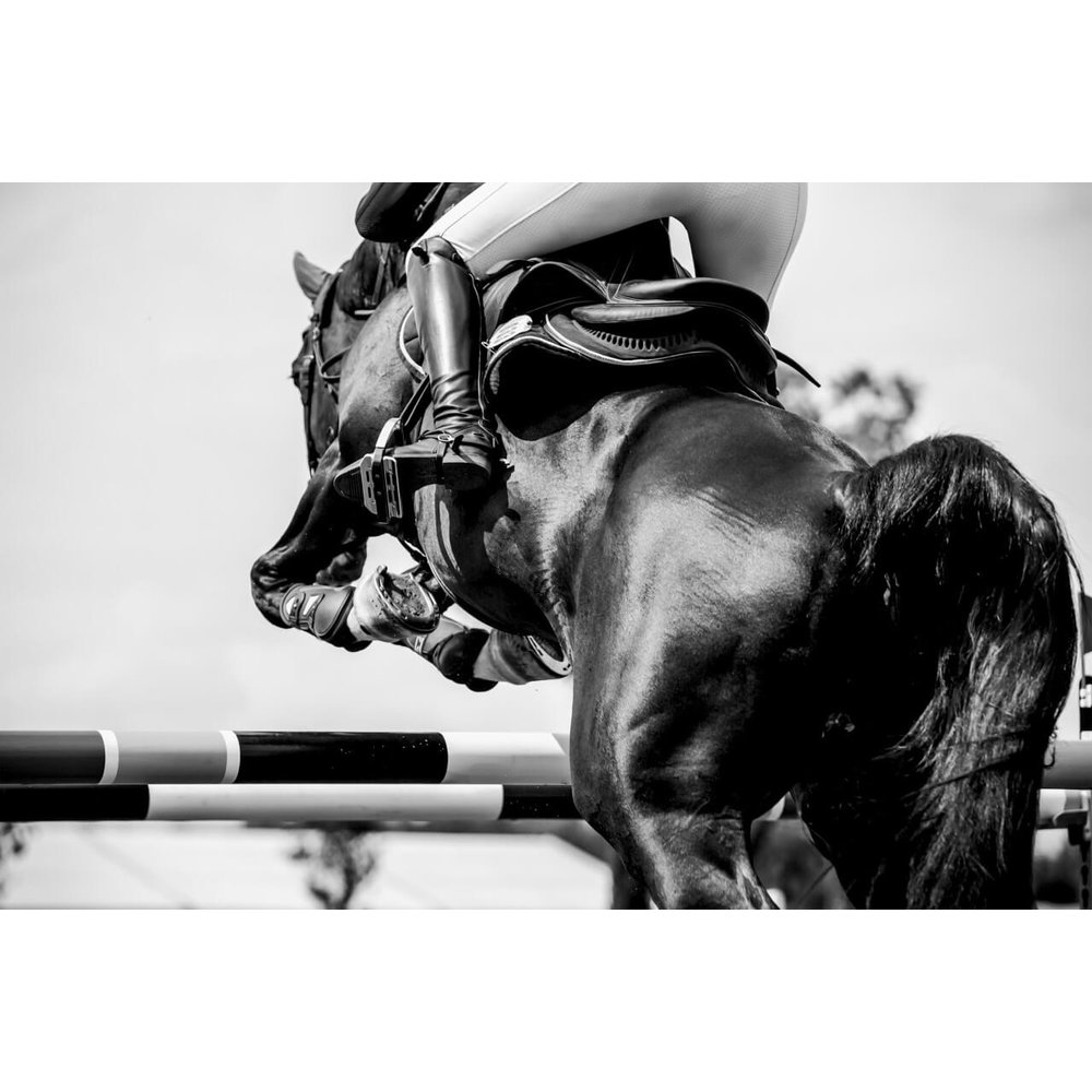 Springend paard in zwart-wit • 120 x 80 cm • Glazenschilderijen.nl