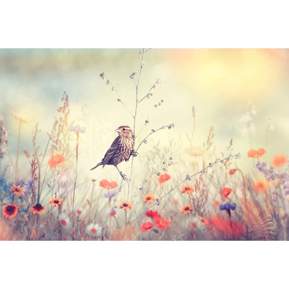 Veld met wilde bloemen en een mus • 150 x 100 cm • Glazenschilderijen.nl
