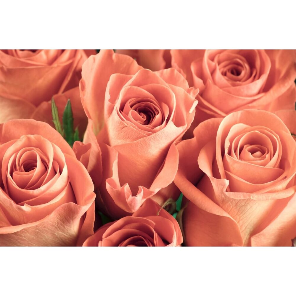 Verzameling zalmroze rozen • 150 x 100 cm • Glazenschilderijen.nl