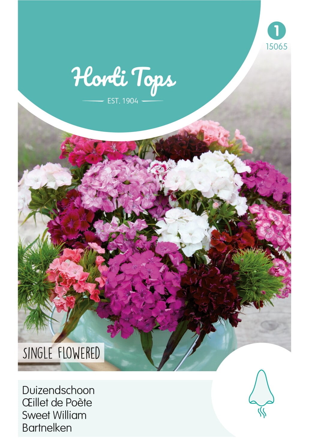 HT Dianthus, Duizendschoon enkelbloemig gemengd | Vleesetendeplant.nl ...