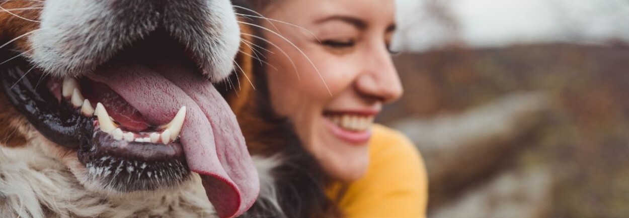 Gezonde Hondenvoeding: Alles wat je moet weten over voeding voor je ...