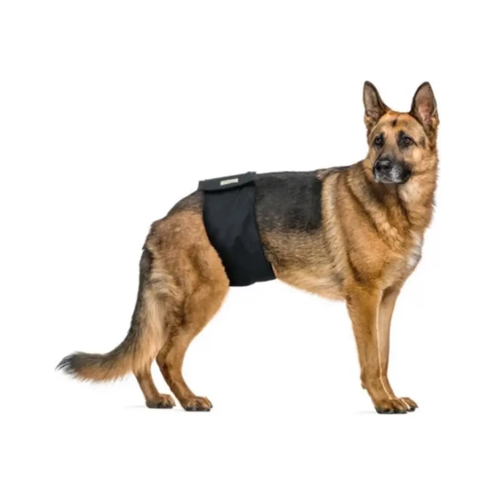 Vetlando Wasbare Pamper voor Reu | Koop nu! - Nachtergaele, Uw partner ...