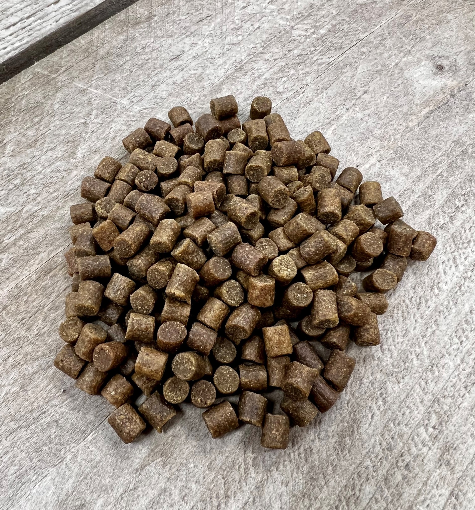 CARP PRO FEED CARP PRO INSECT PELLETS - 1KG - Carpcity Hengelsport