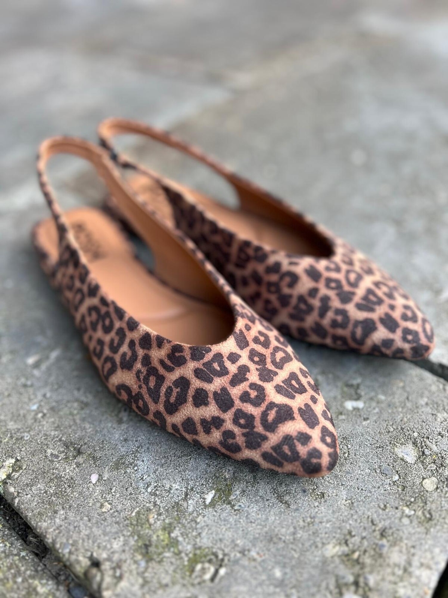 SLINGBACK ANNA LEOPARD - Boompjes 21