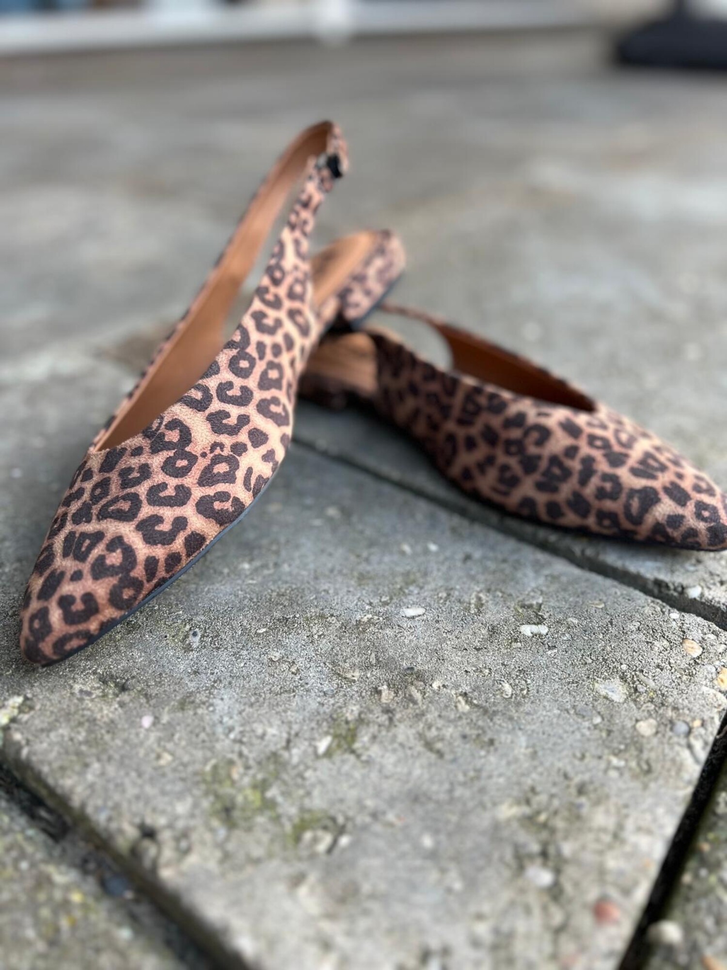 SLINGBACK ANNA LEOPARD - Boompjes 21