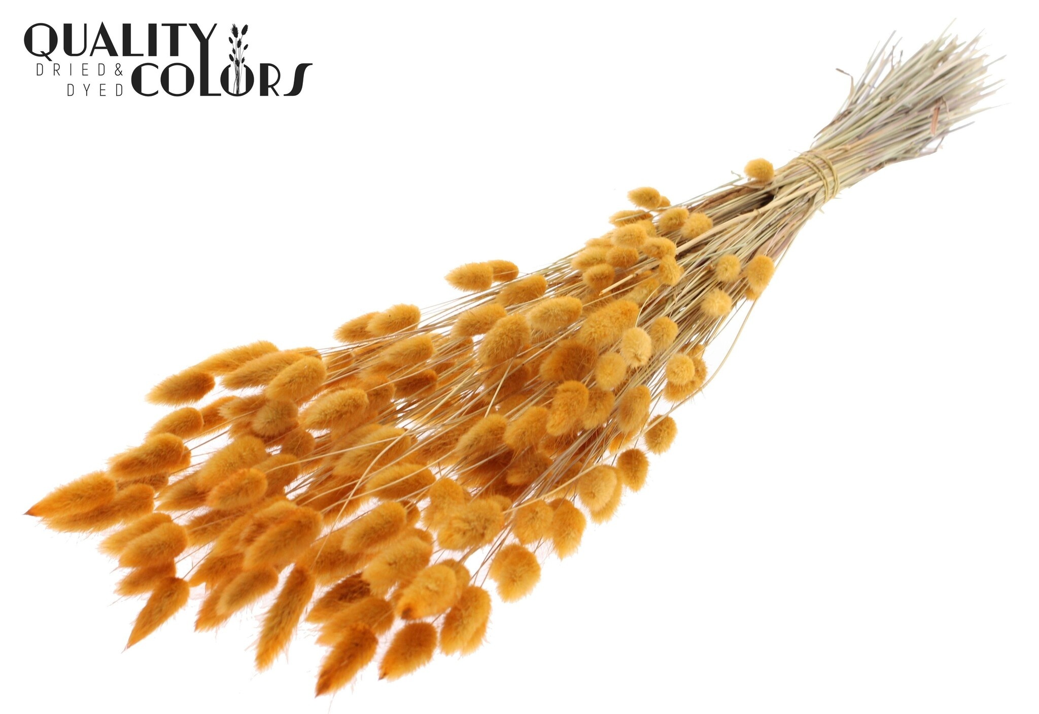 Queues de lièvre douces en couleur abricot chaud pour l'intérieur ...