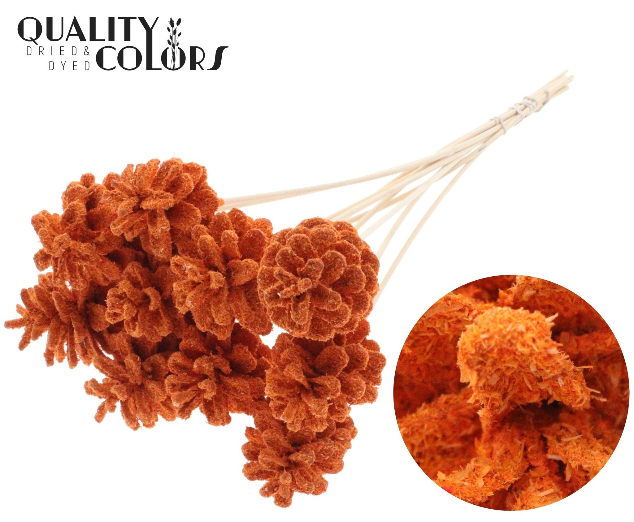 Pomme de Pin Orange sur Tige pour Décorations Créatives - MyFlowers ...