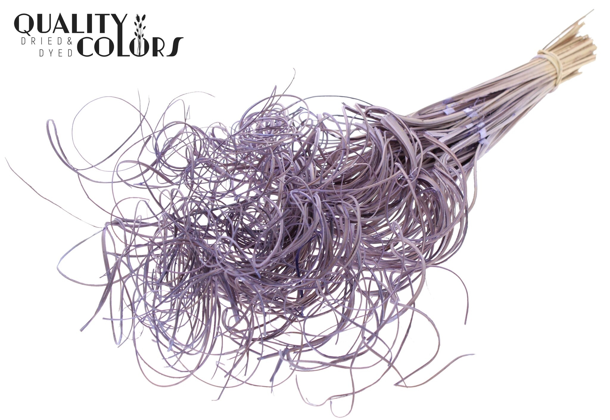 Curly Ting Ting Feuille de Palmier - Décoration de Fleurs Séchées ...