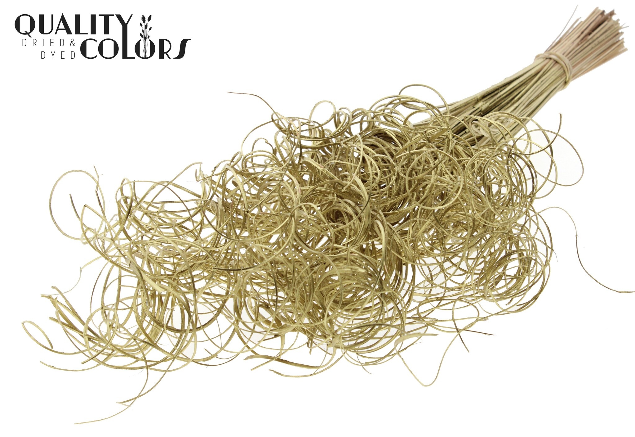 Feuille de Palmier Dorée Curly Ting Ting - Décoration Sans Entretien ...