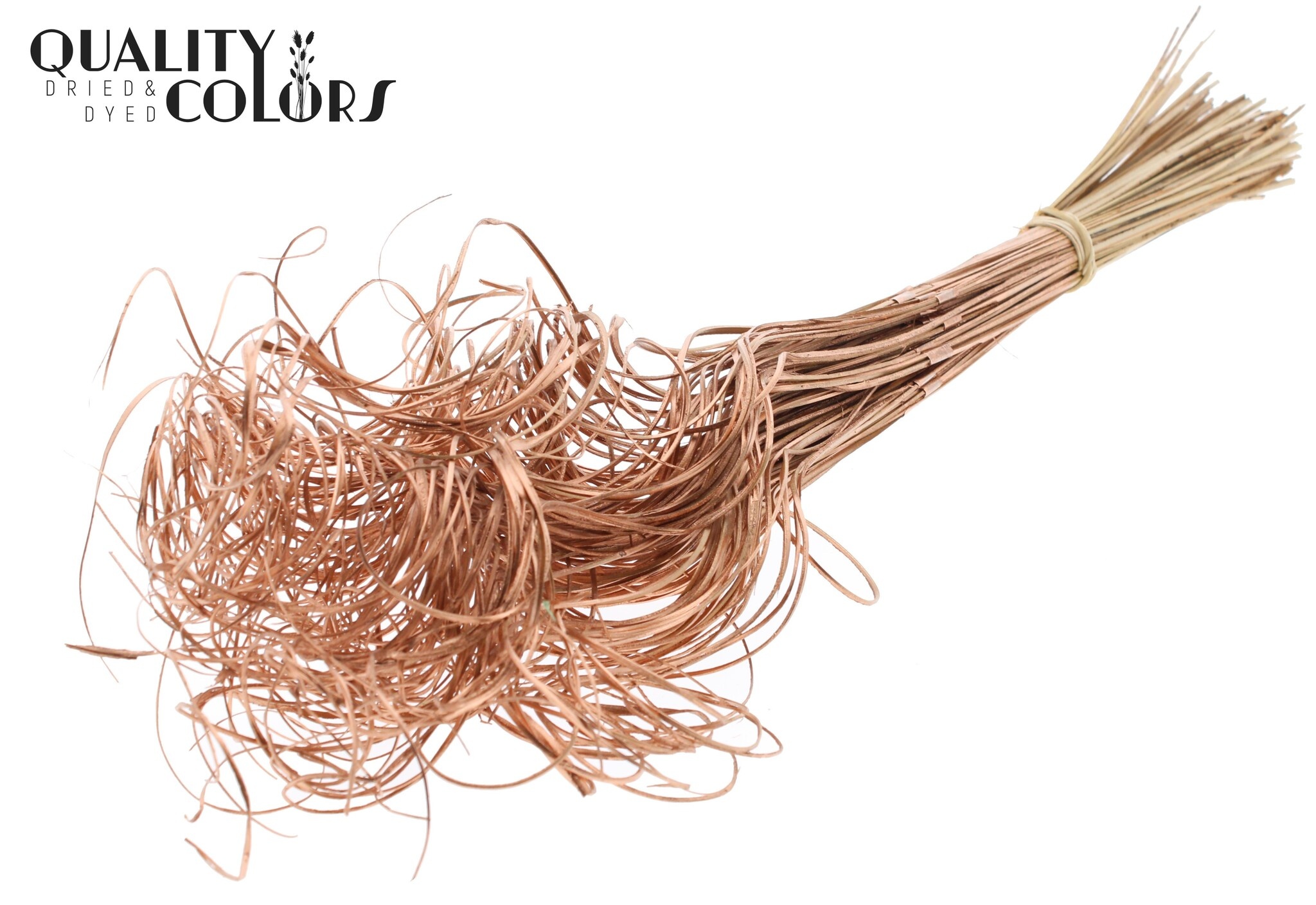 Feuille de palmier Curly Ting Ting en cuivre - Sculptural et durable ...