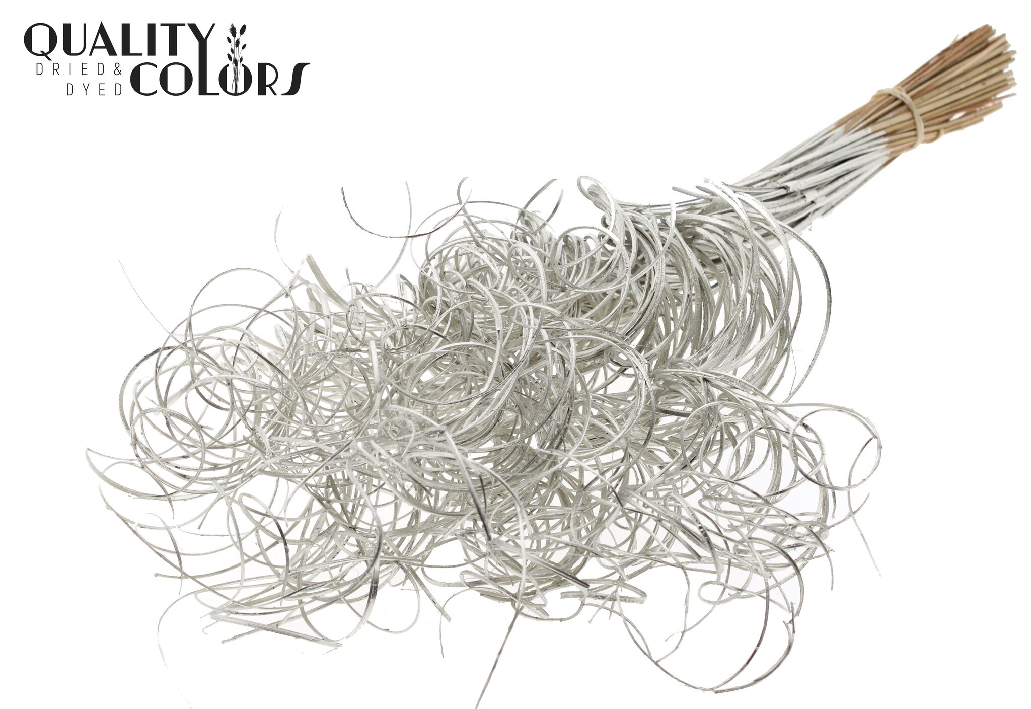 Feuille de palmier Curly Ting Ting couleur platine - Ensemble de 33 ...