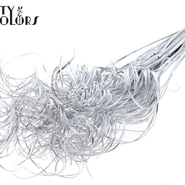 Feuille de palmier Curly Ting Ting en argent - Durable et élégant ...