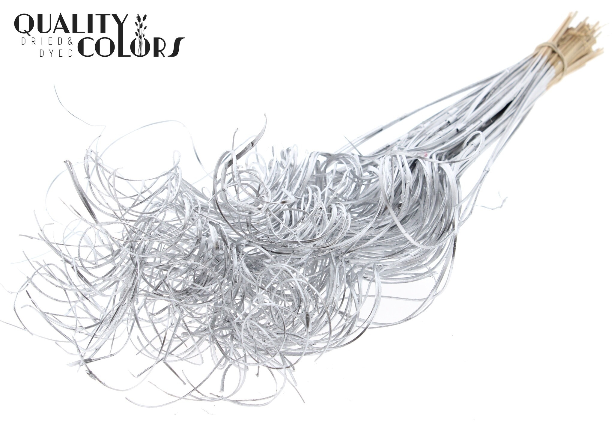 Feuille de palmier Curly Ting Ting en argent - Durable et élégant ...