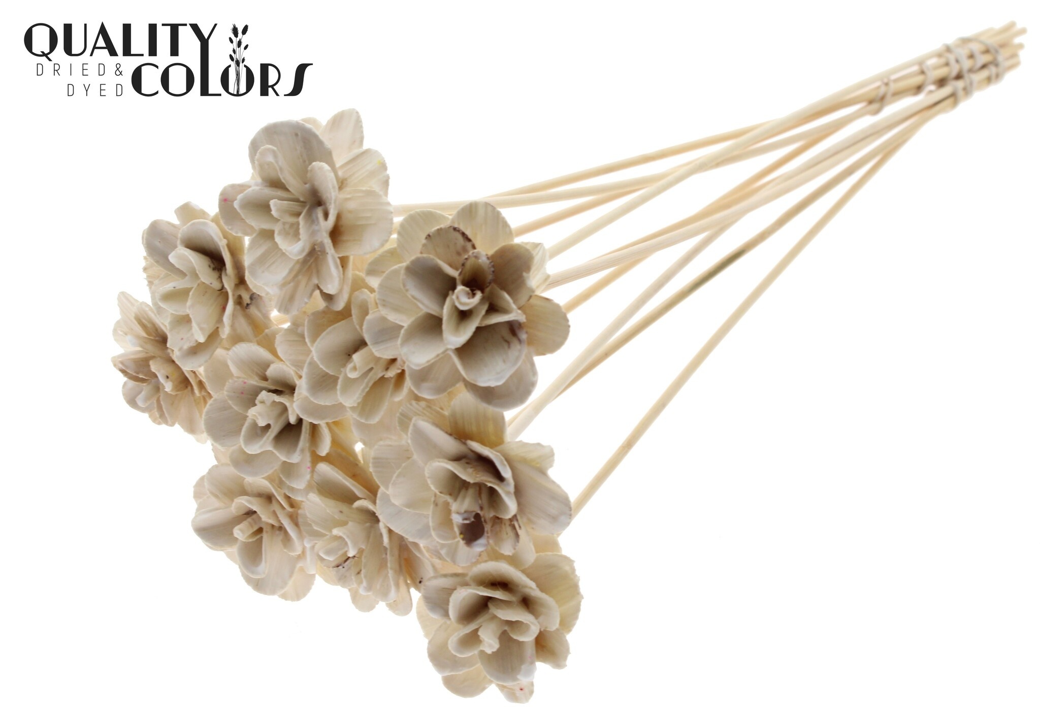 Beetal Rose Wax Flowers Set of 10 for Elegant Interior - MyFlowers.shop ...