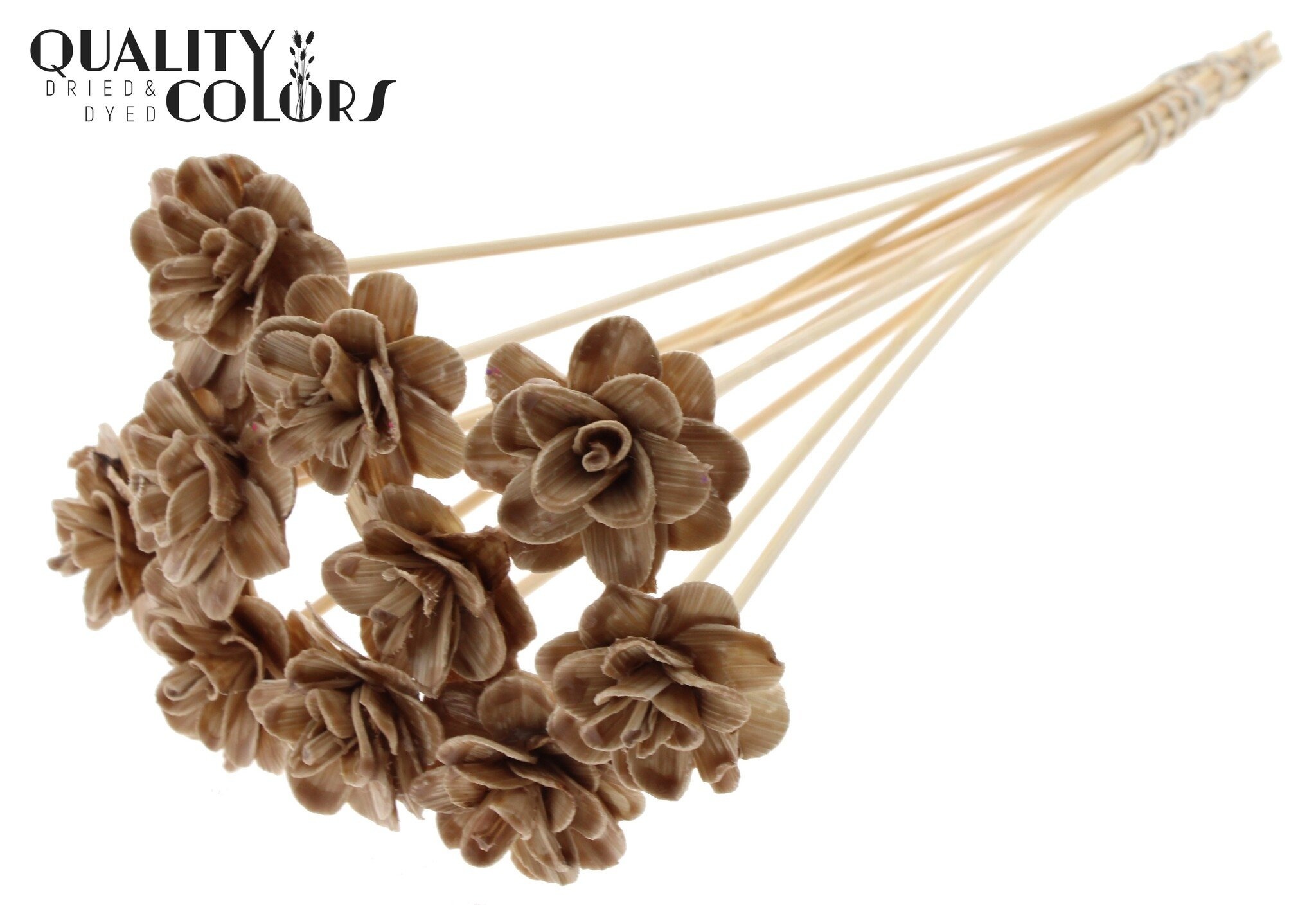 Beige Roses on Stem - Lifelike and Low Maintenance - MyFlowers.shop ...