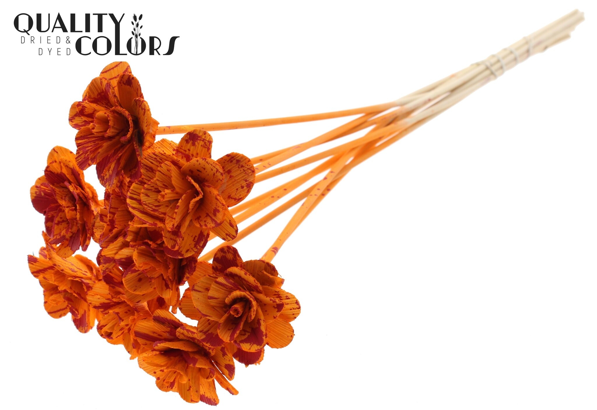 QC Beetal Rose 6cm on stem Splashed Orange/Red - MyFlowers.shop: The ...