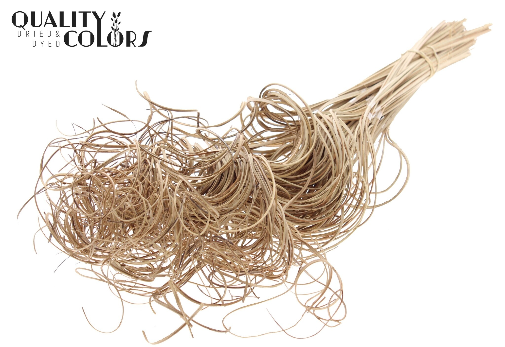 Feuille de palmier Curly Ting Ting - Naturel Brun 70 cm - MyFlowers ...