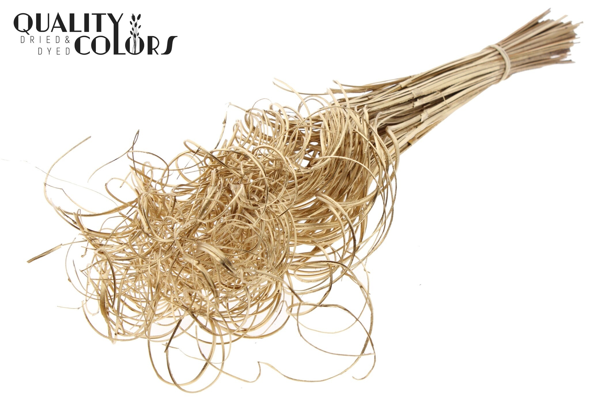 Feuille de Palmier Bouclé Doré Antique - Ensemble de 33 Branches ...