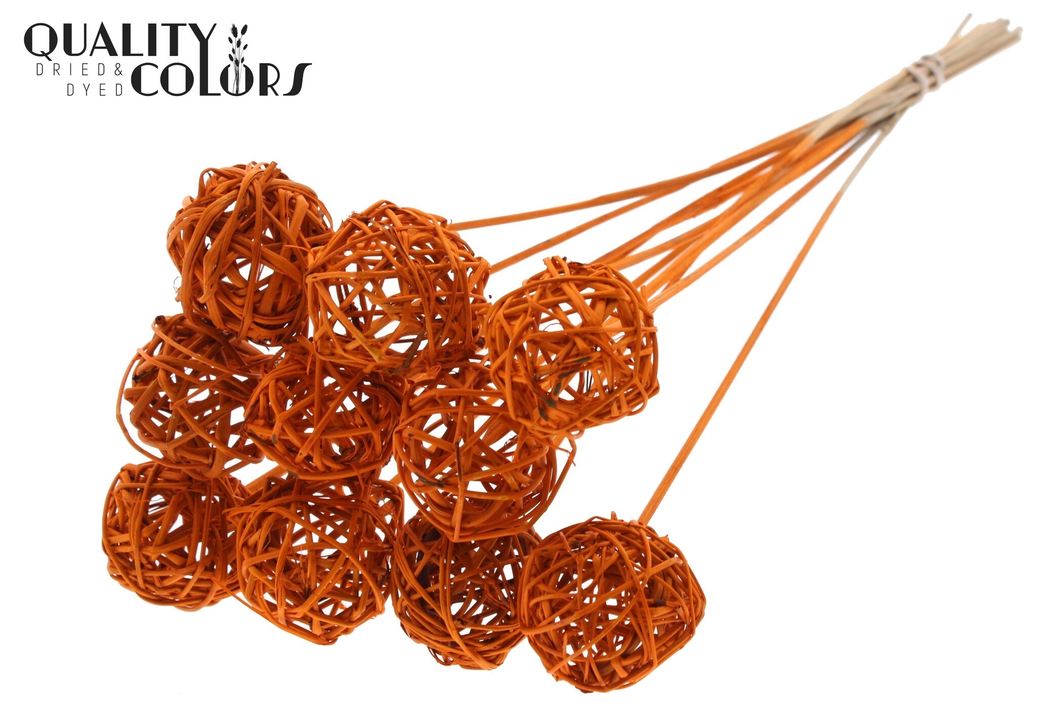 QC Bruce Ball 5cm on stem Orange - MyFlowers.shop: The Online Flower ...