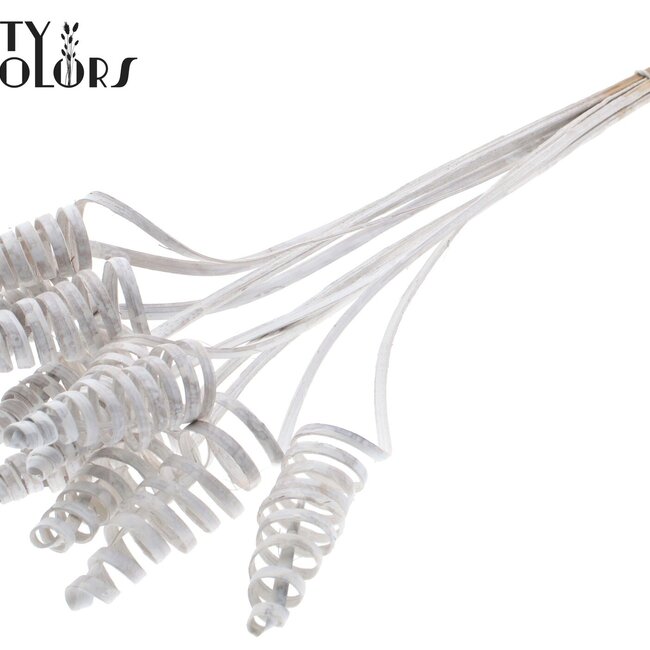 White palm spiral on stem, set of 10 for floral arrangements ...