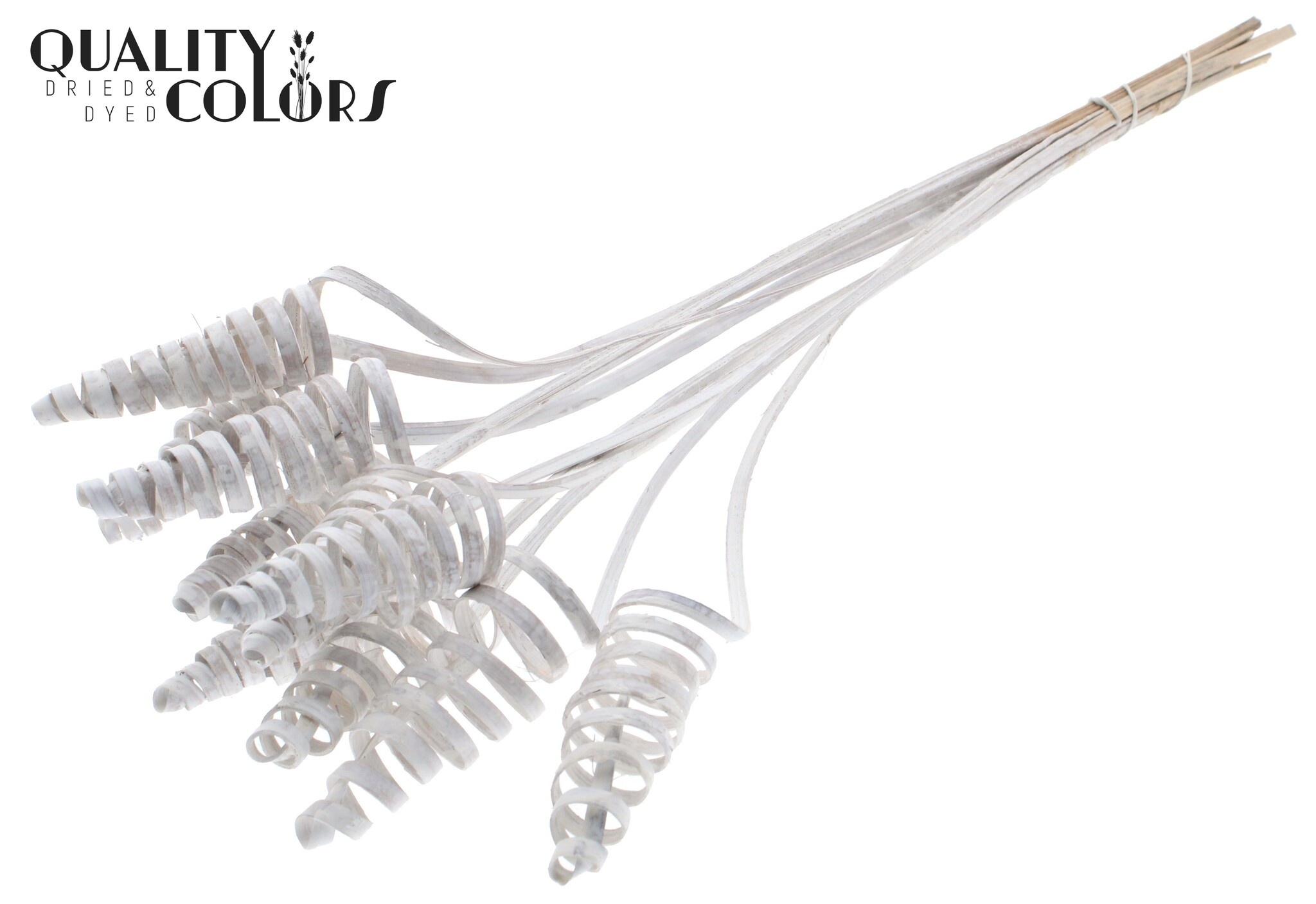 White palm spiral on stem, set of 10 for floral arrangements ...