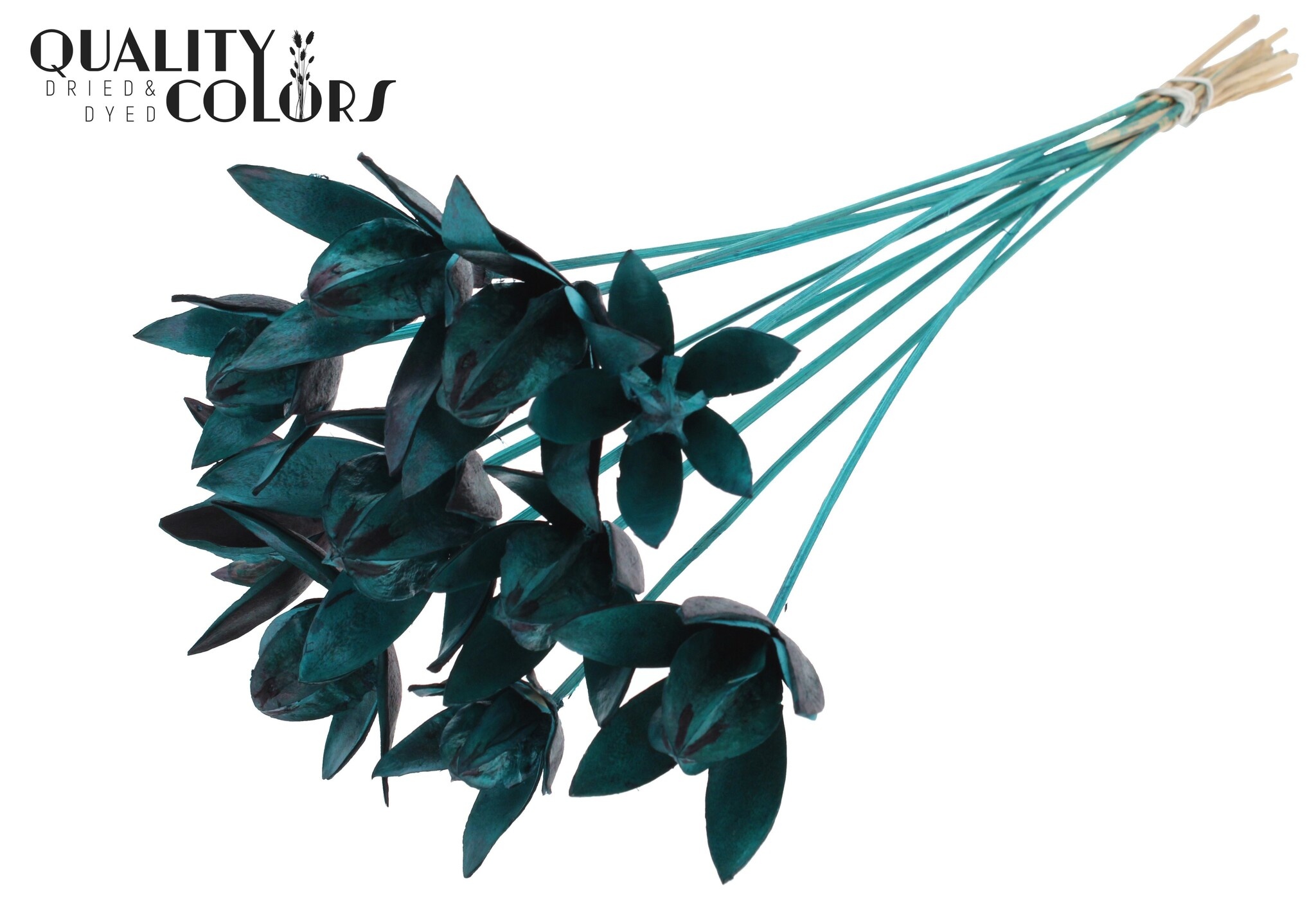 Wild Lily Seed Pod on Stick - Turquoise Plant Stakes 10 Pieces ...