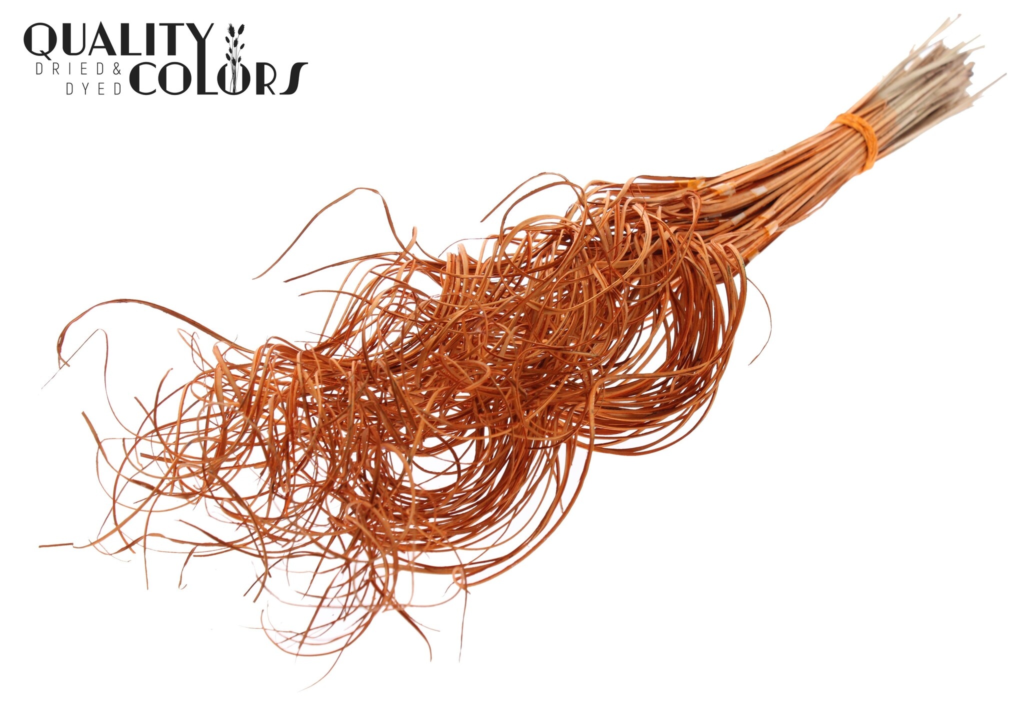 Feuille de Palmier Séchée Nervure - Orange, 70 cm, Durable Décoratif ...