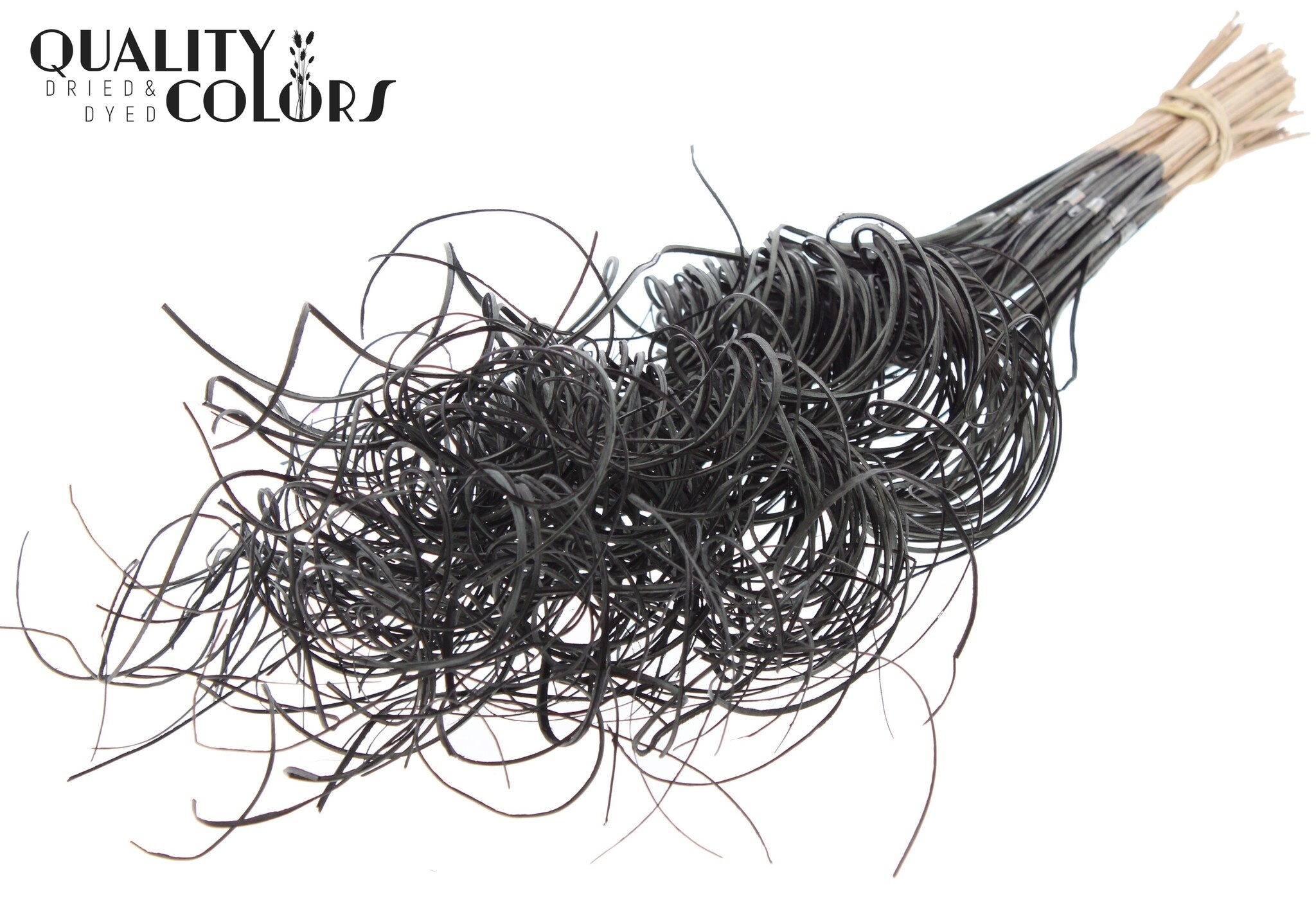 Feuille de Palmier Séchée Nervure - Décoration Noire Élégante 70cm ...