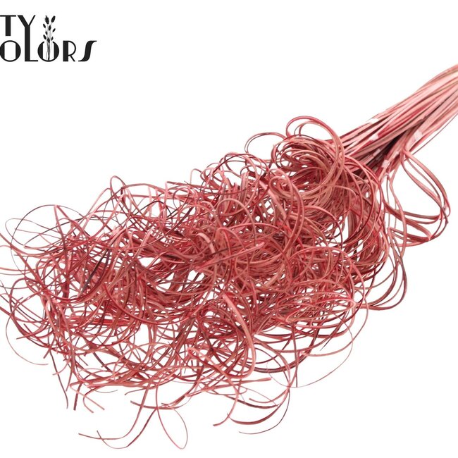 Feuille de Palmier Séchée Nervure Rouge - Décoration Unique pour ...