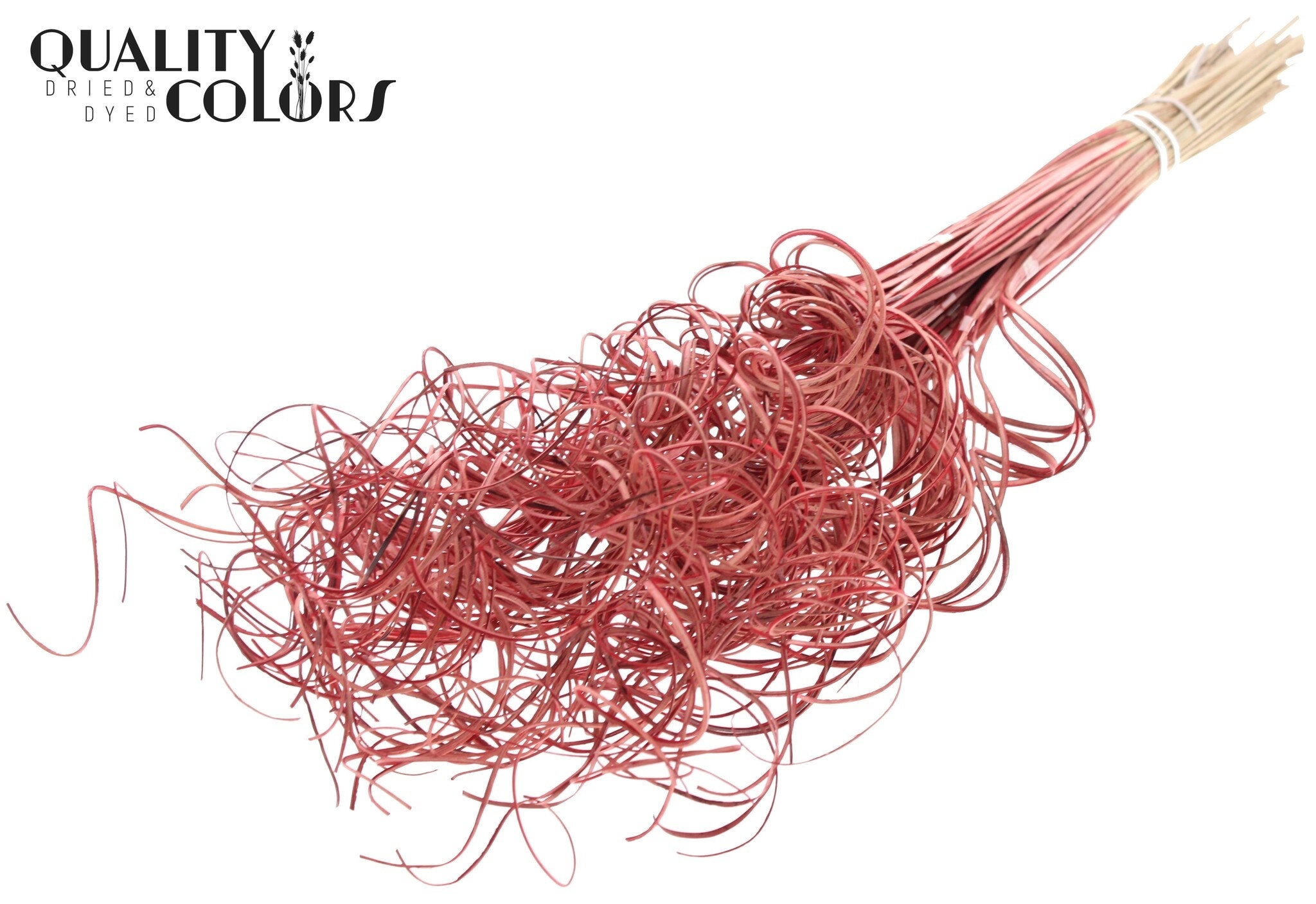 Feuille de Palmier Séchée Nervure Rouge - Décoration Unique pour ...