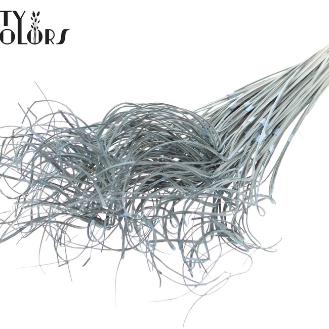 Feuille de Palmier Séchée Bleu Clair Nerf - Durable et Élégant ...