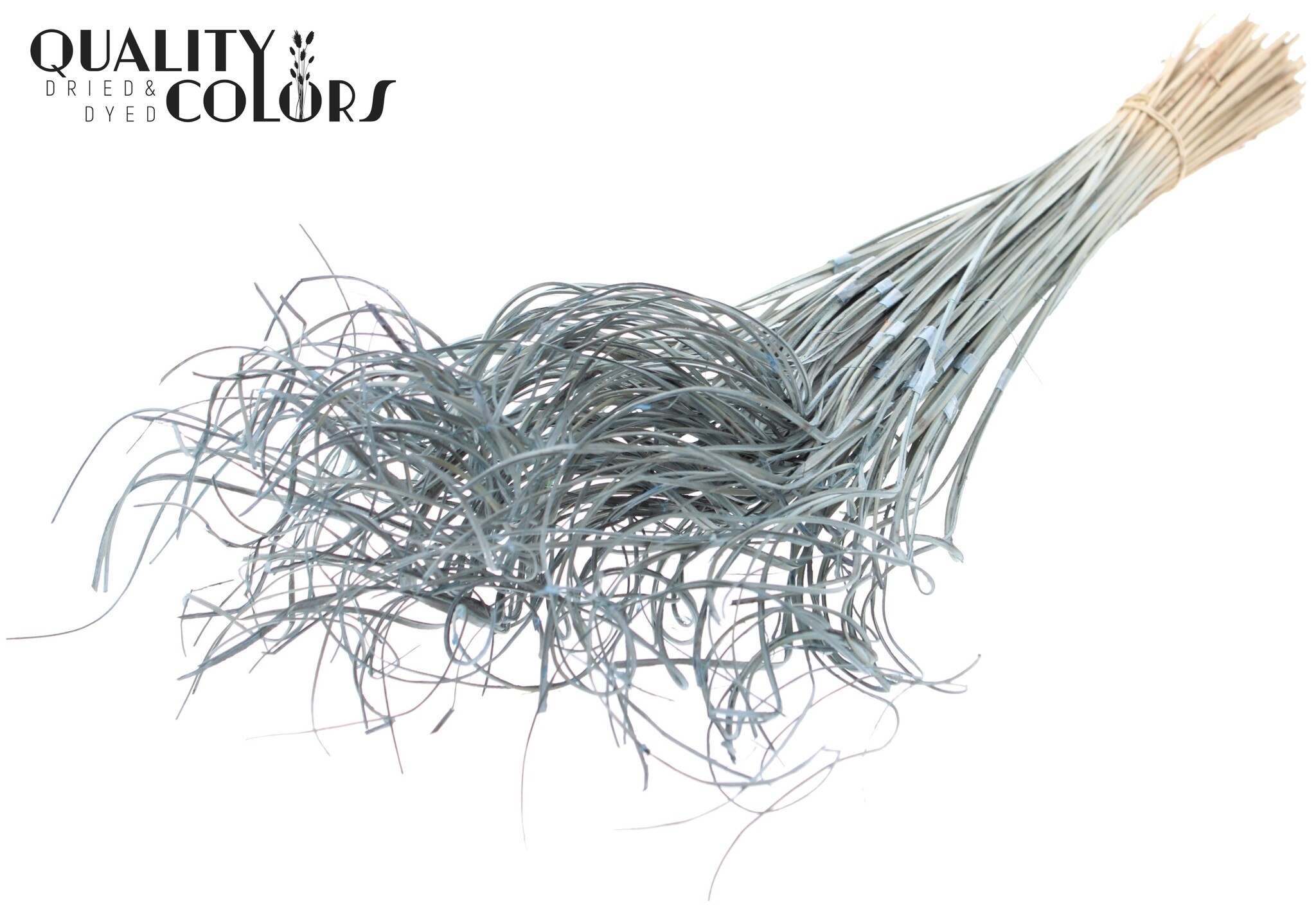 Feuille de Palmier Séchée Bleu Clair Nerf - Durable et Élégant ...