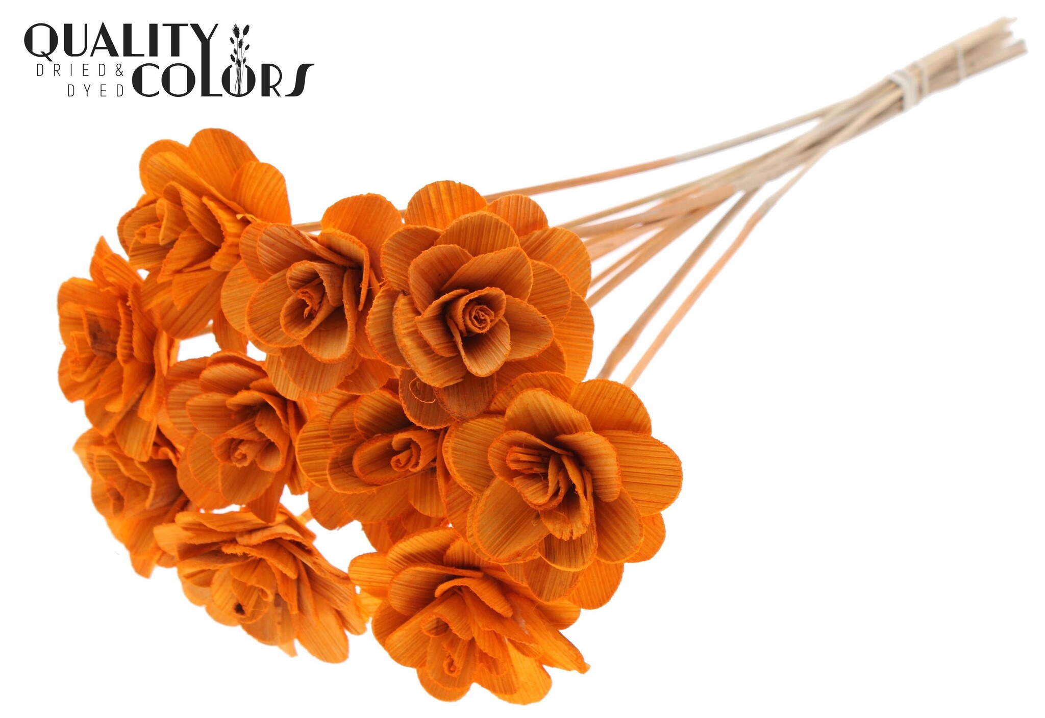 Orange Shola Roses on Stems - Set of 10 for Interior Decoration ...