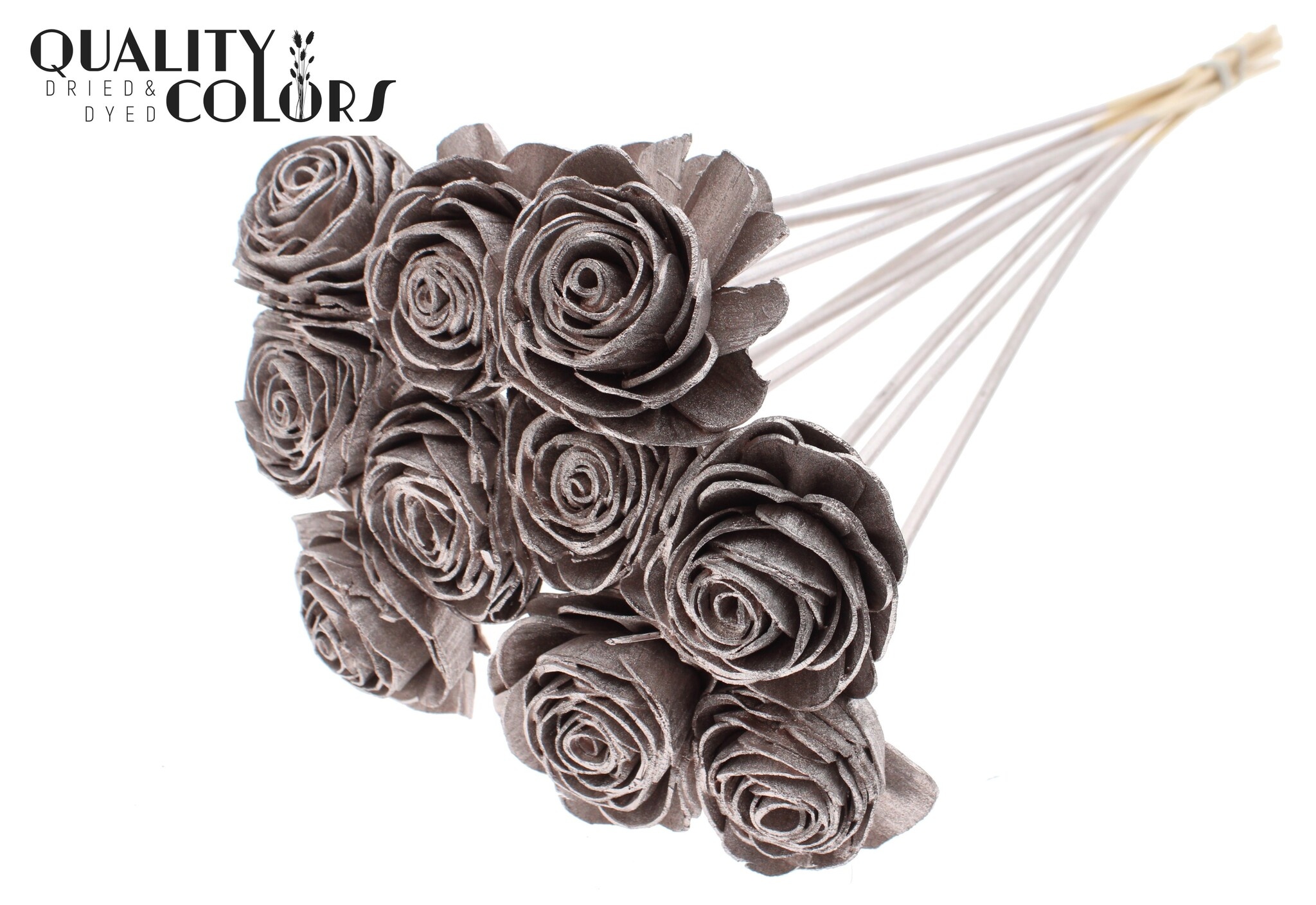 Shola Houten Rose on Stick Champagne - Set of 10 - MyFlowers.shop: The ...
