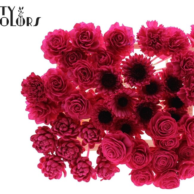 Shola Houten Flower Mix on Stick - Sustainable and Stylish - MyFlowers ...