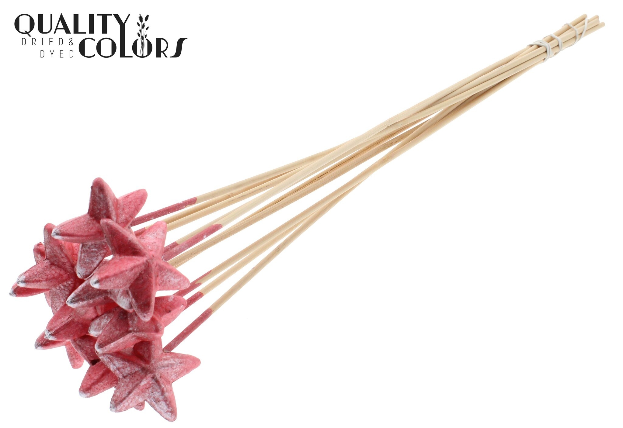 Metallic Red Star on Stick for Festive Decorations - MyFlowers.shop ...